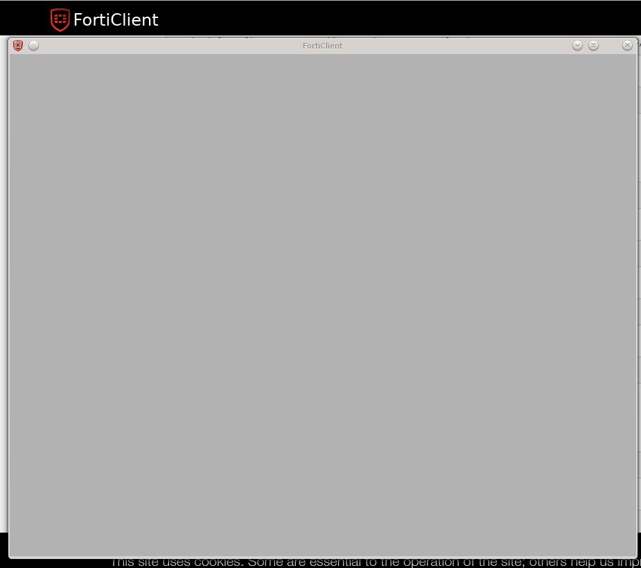  HOT Forticlient the vpn connection terminated unexpectedly error 130