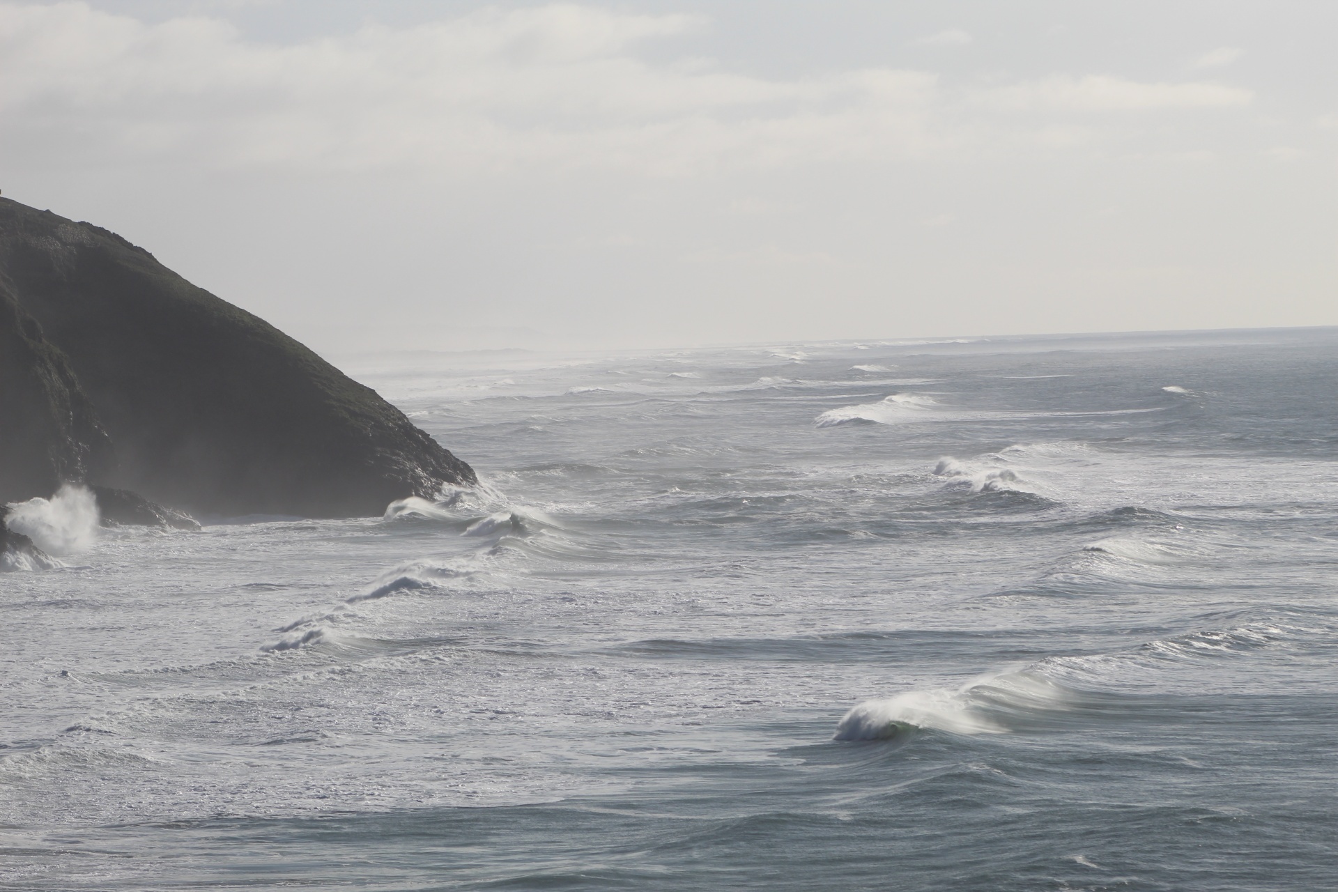 Techrights — 2025: The Year LLM Slop Rose to Prominence and Then Fell